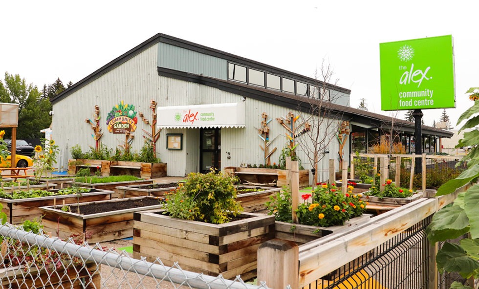 Contact | The Alex Community Food Centre